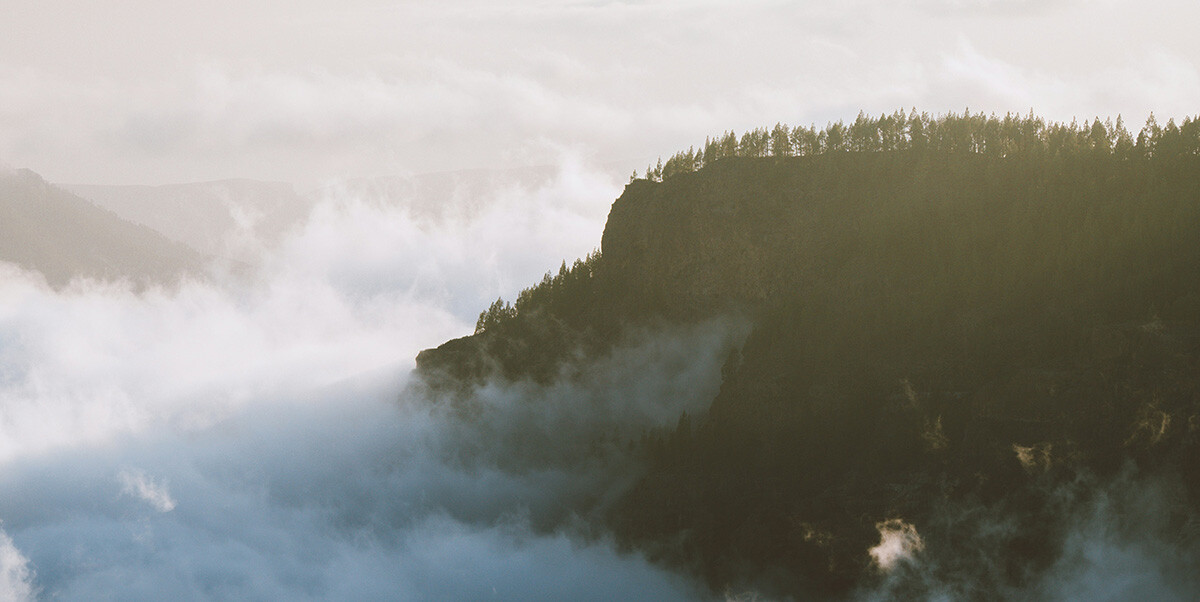 Kestävyysdatan 3 boostia liiketoiminnallesi – ota datasta kaikki hyöty ...